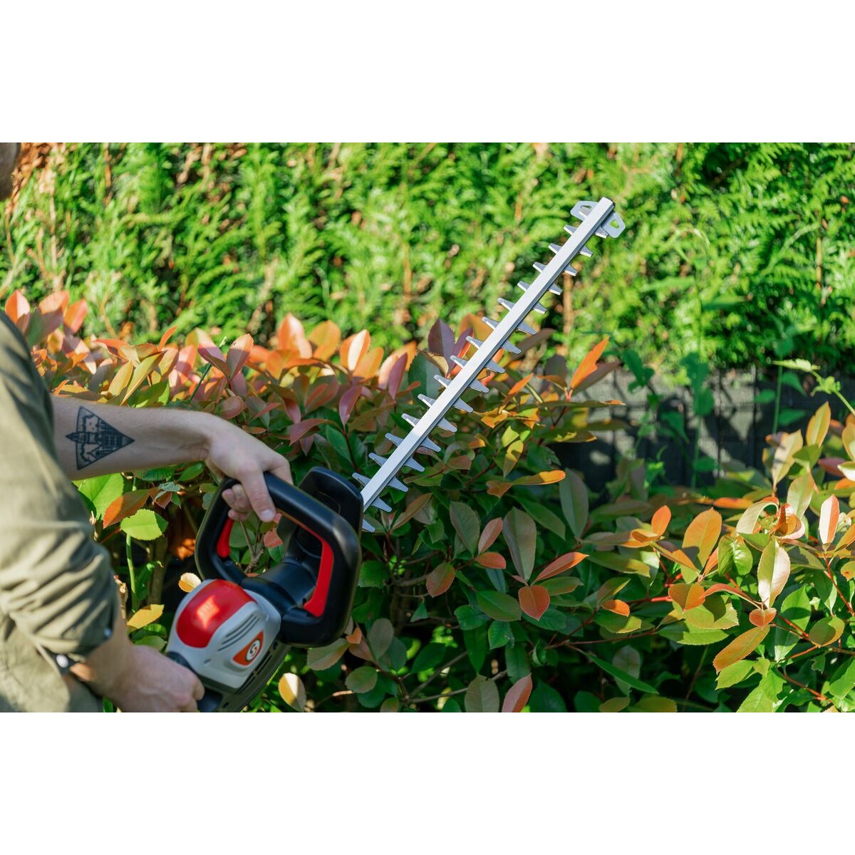 Nożyce elektryczne Sterwins EHT2-60.4 650W 60cm - Leroy Merlin